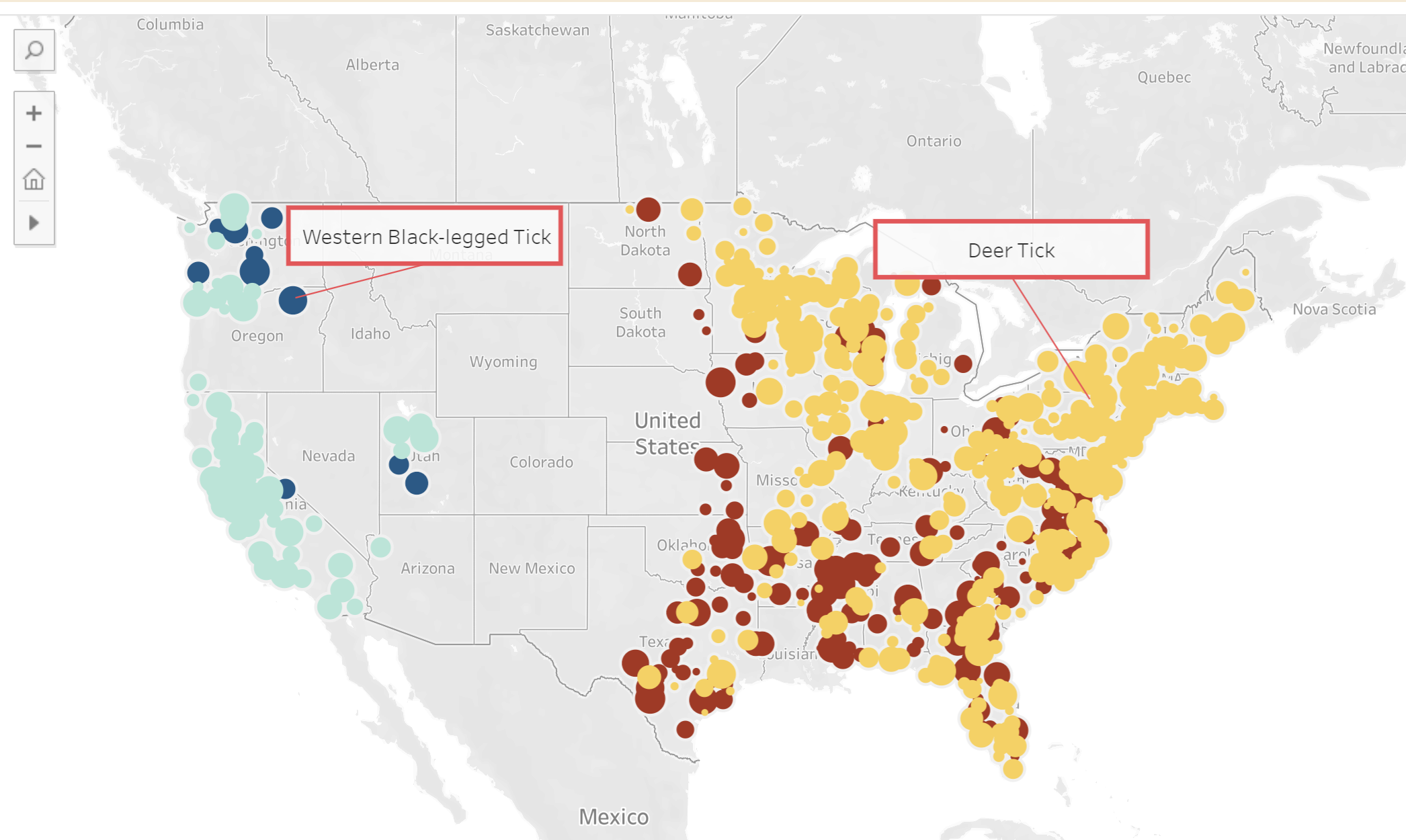 ChiChi Ugochukwu Portfolio